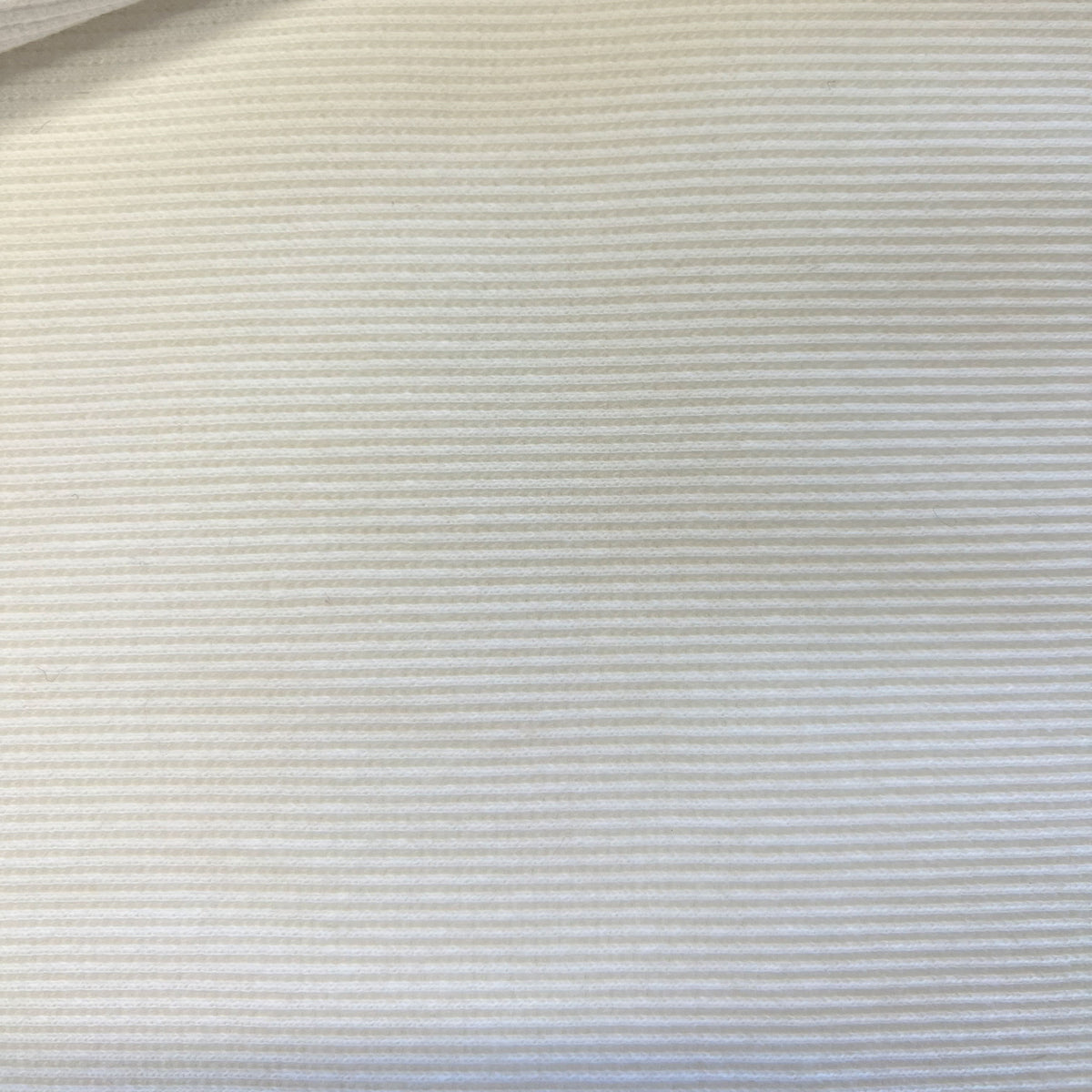 Cotton Elastane 2x2 Ribbing - White – Fabric Box