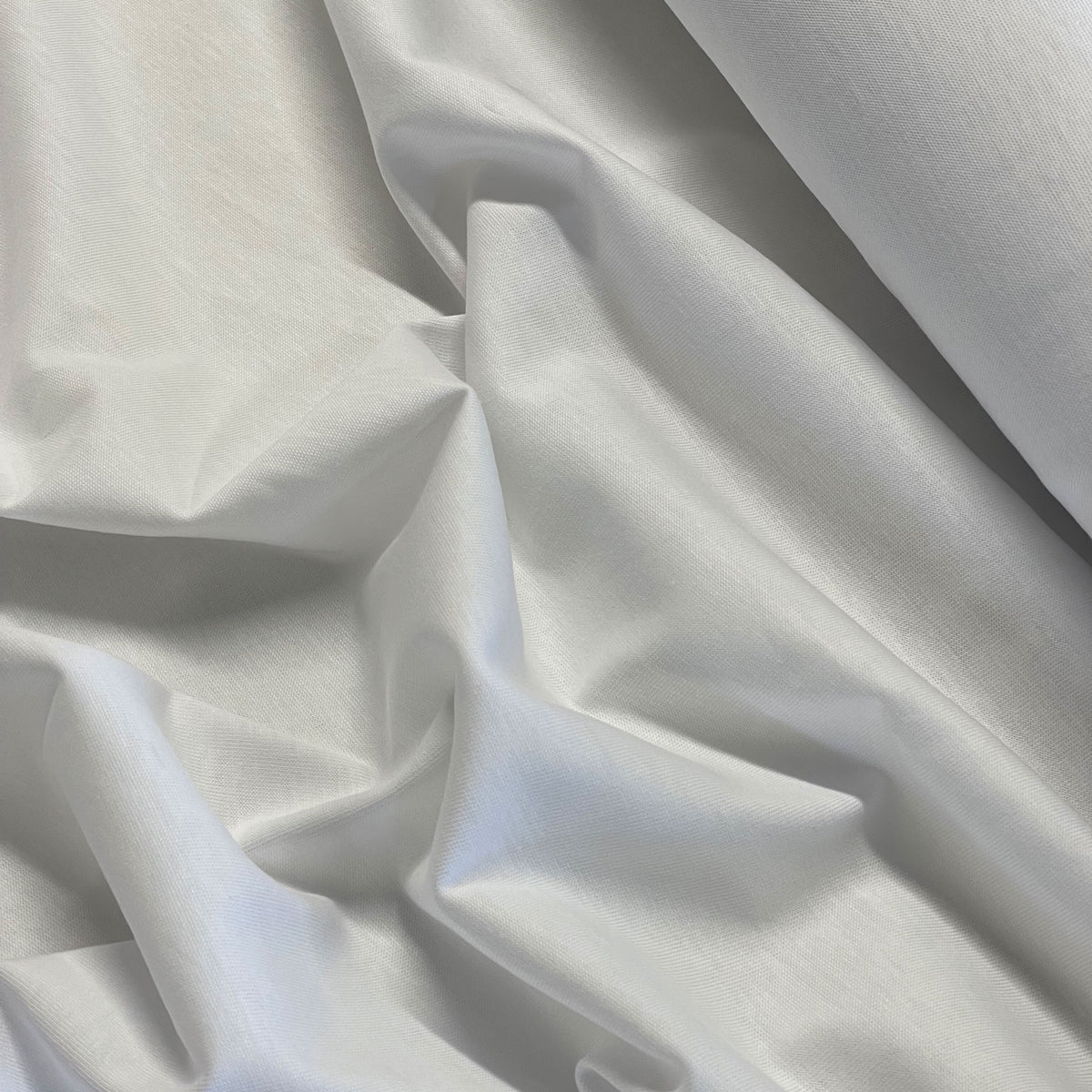 Organic Cotton T-Shirting - White – Fabric Box